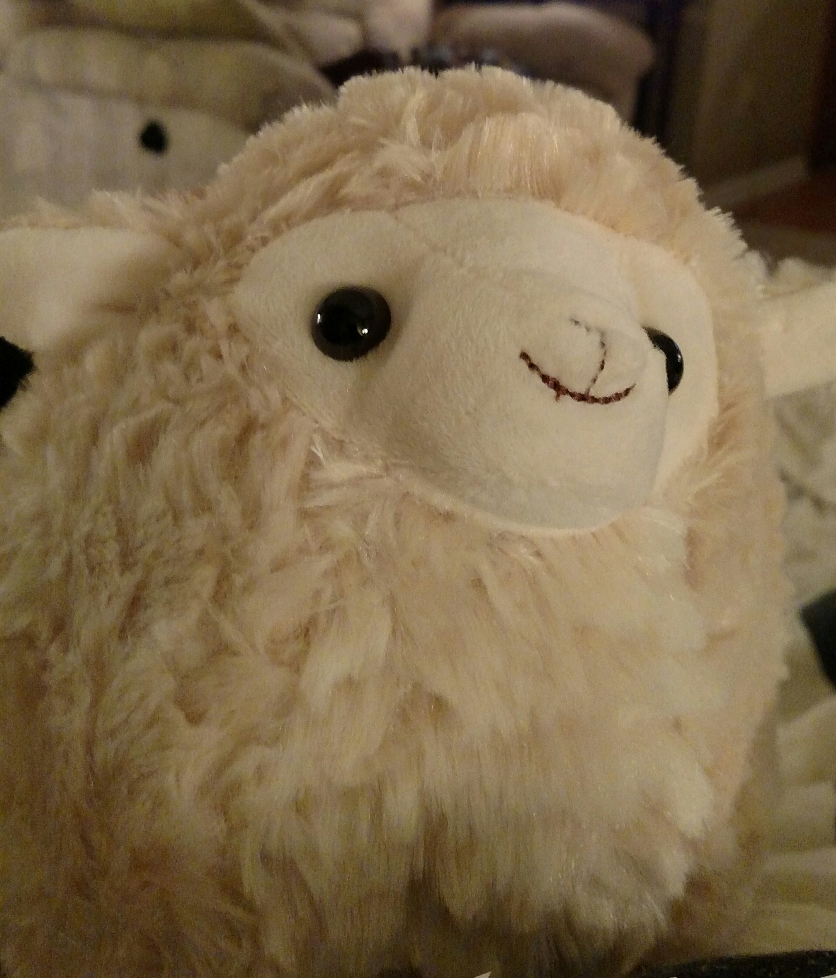 Feeling Sheepish – WISDOM WANDERINGS